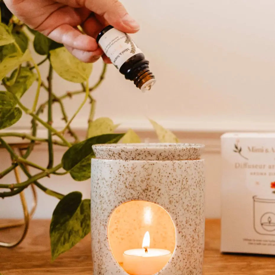 Aromatic Ceramic Diffuser – ASH Refillery and Co.